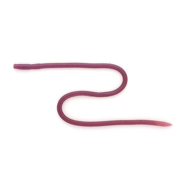 Imakatsu Worm Skinny eel Crawler 12inch #S-462 Mihara Earthworm
