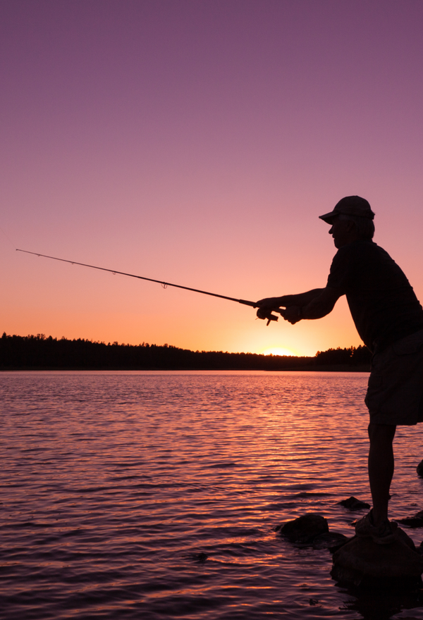 Asian Portal Fishing